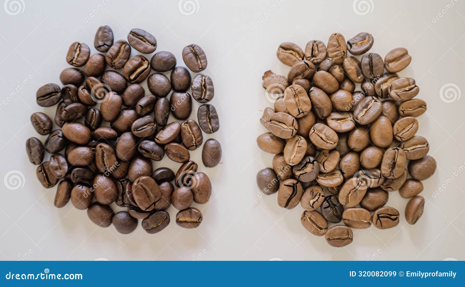 Two Varieties of Coffee Beans on White Surface Stock Image - Image of ...