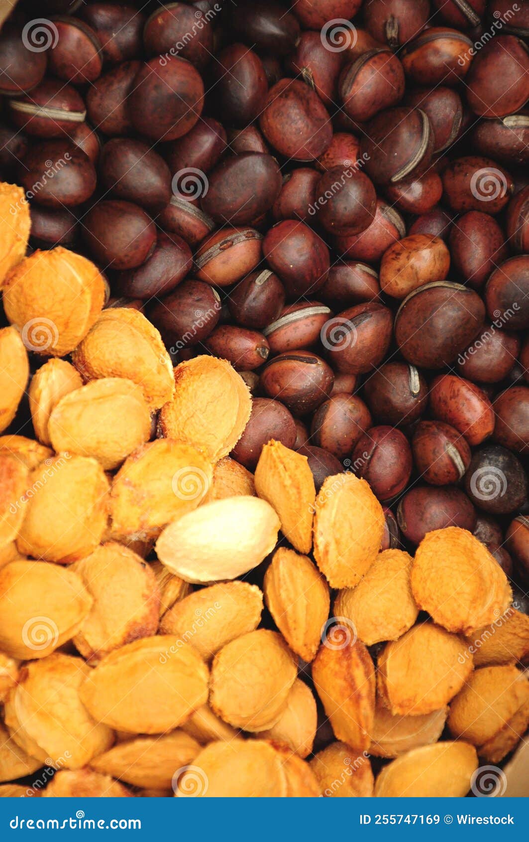 Two Various Seeds, Beans and Other Things. Stock Image - Image of ...