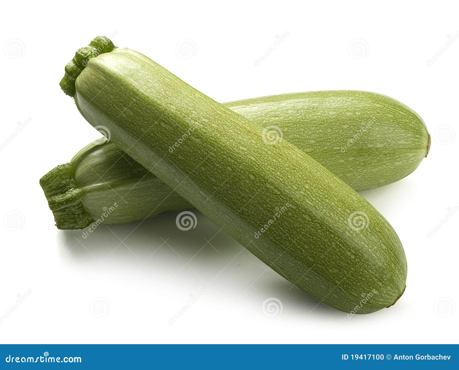 Two vegetable marrows stock photo. Image of food, edible - 19417100