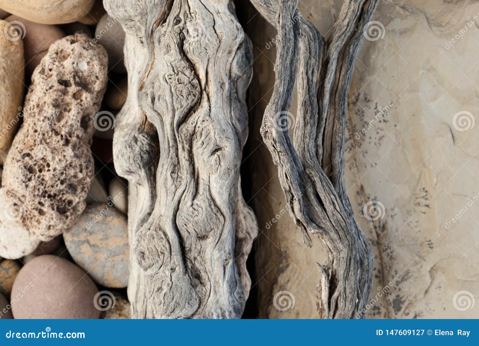 Composition with Stones and Wood Stock Image - Image of driftwood ...