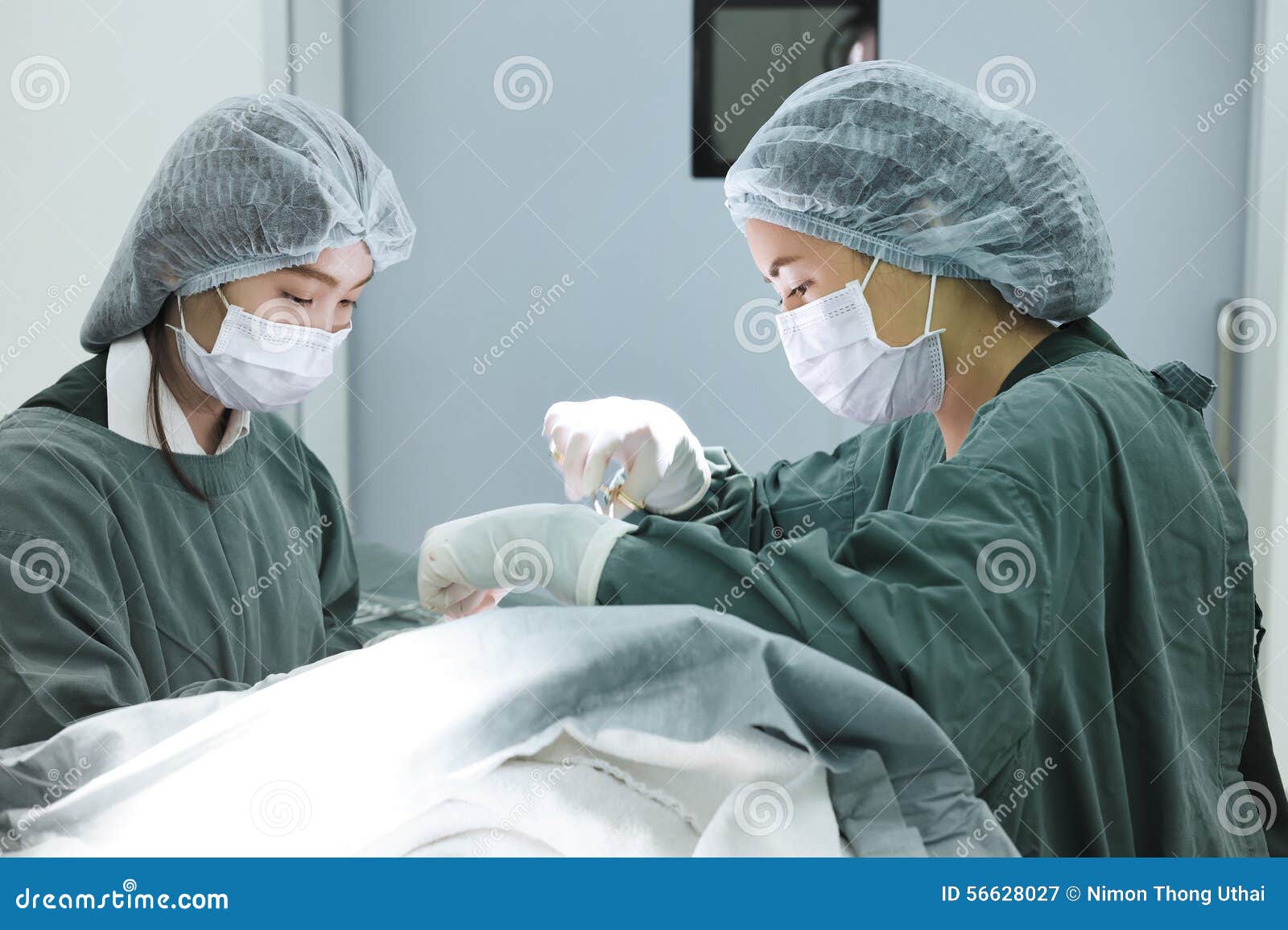 Two Veterinarian Surgeons in Operating Room Stock Image - Image of ...