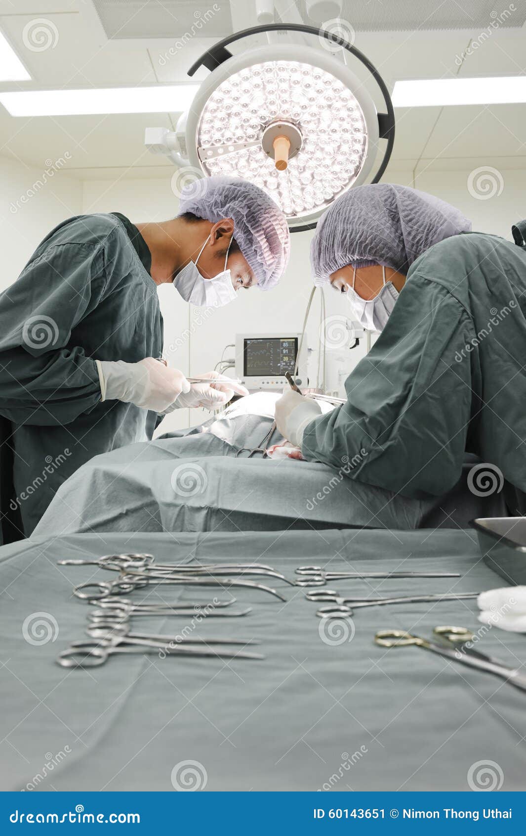 Two Veterinarian Surgeons in Operating Room Stock Image - Image of ...