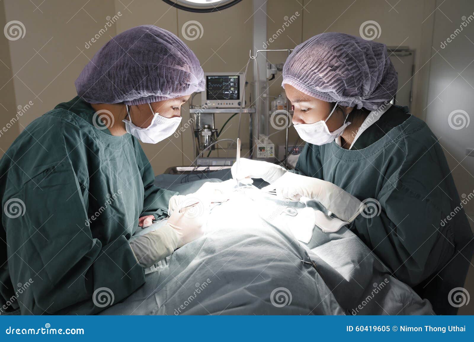 Two Veterinarian Surgeons in Operating Room Stock Image - Image of ...
