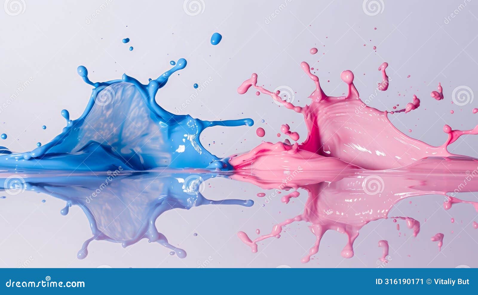 Two Vibrant Splashes of Blue and Pink Water Collide and Combine on a ...