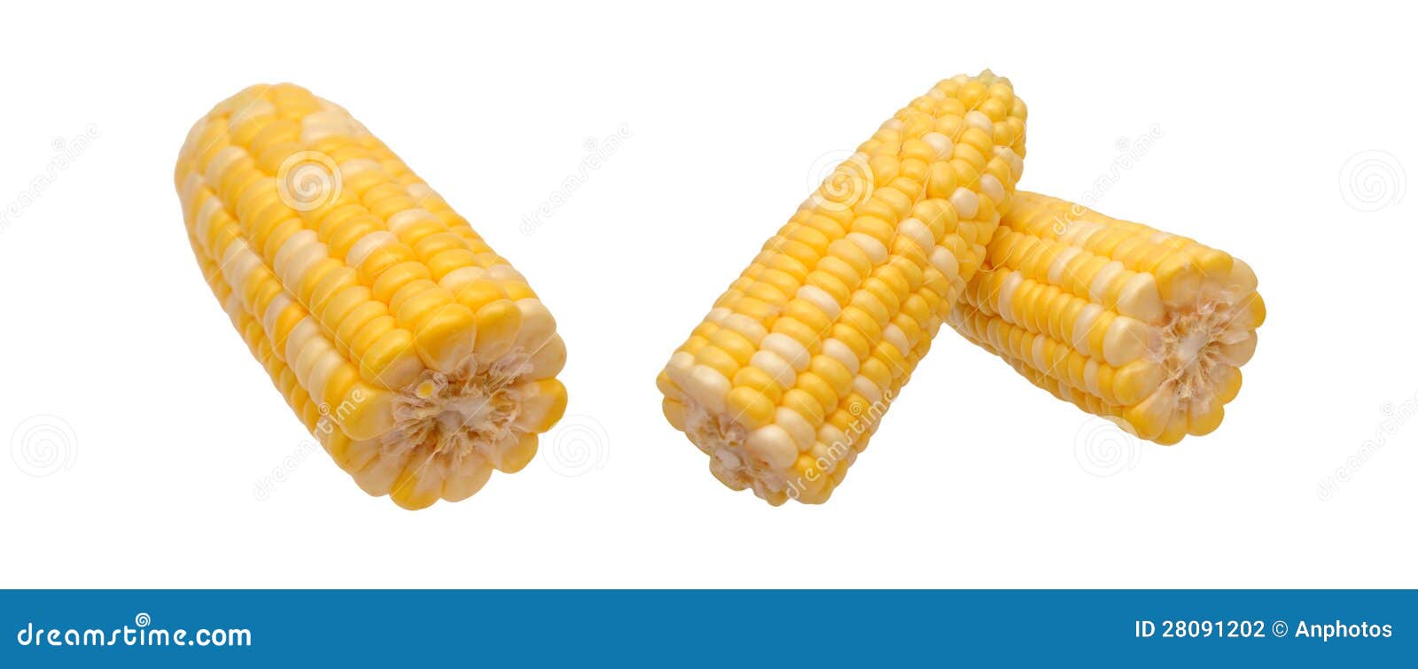 Two views of fresh corns stock photo. Image of meal, cooking - 28091202