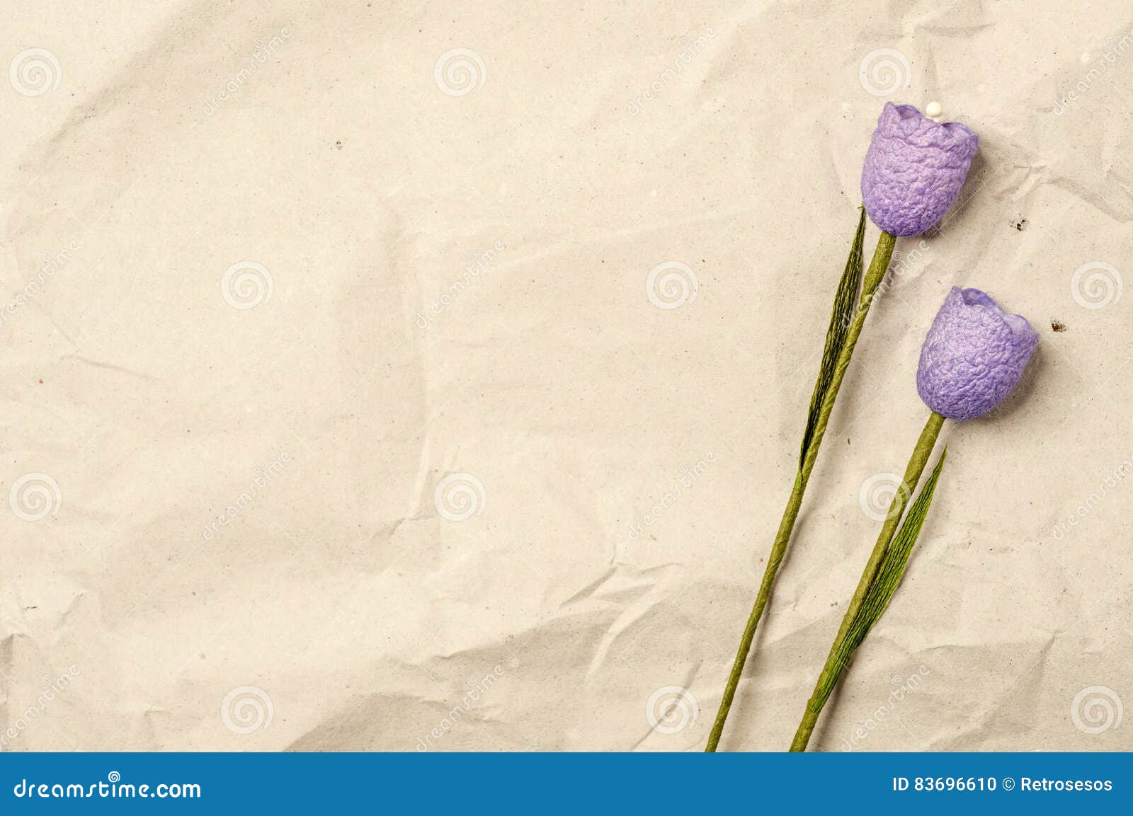 Two violet flowers stock photo. Image of decoration, graphic - 83696610