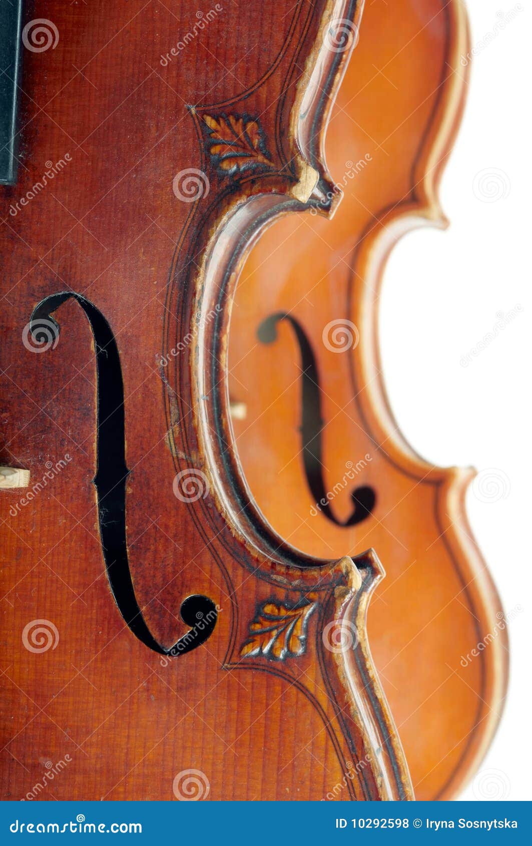 Two violins stock photo. Image of black, finger, instrument - 10292598