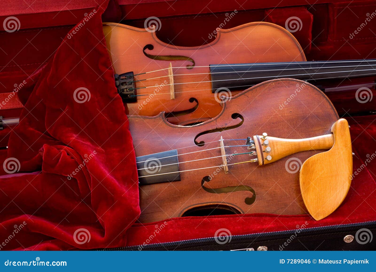 Two Violins Covered by Cloth in a Case Stock Photo - Image of harmony ...