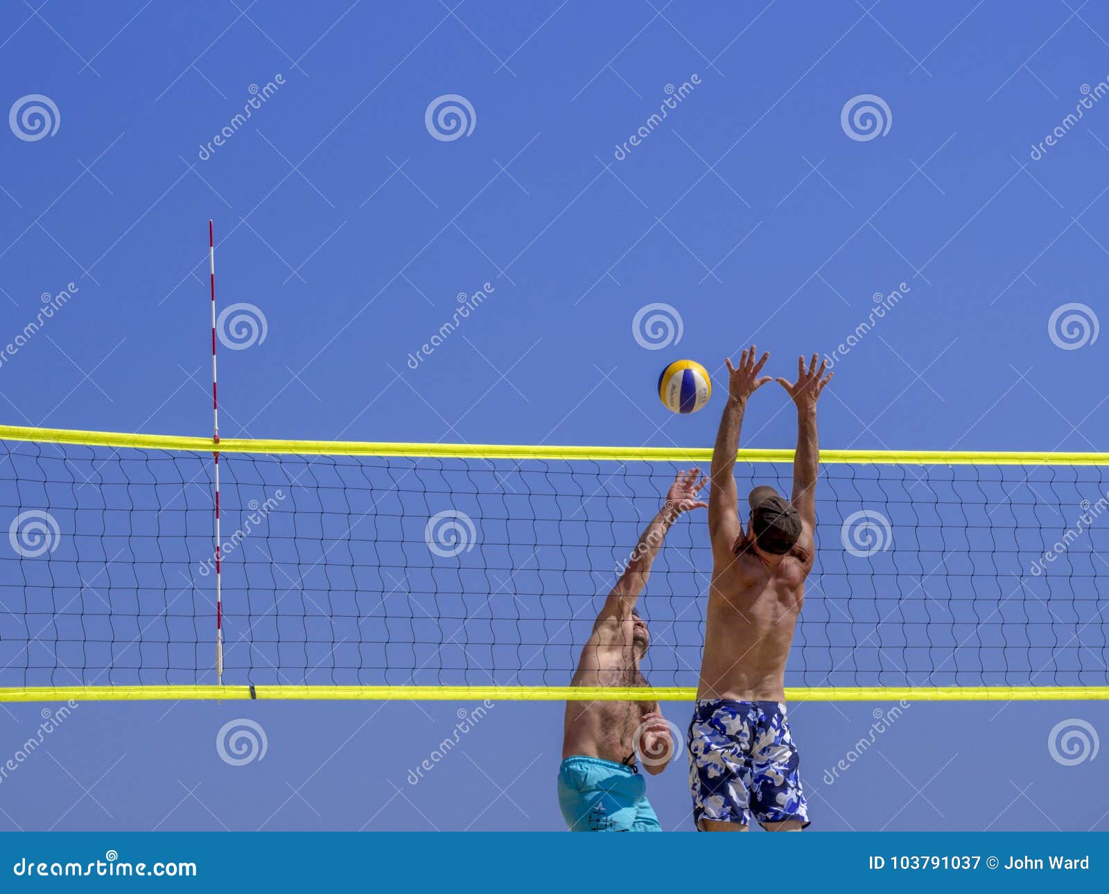Volleyball action at net editorial photography. Image of ball - 103791037