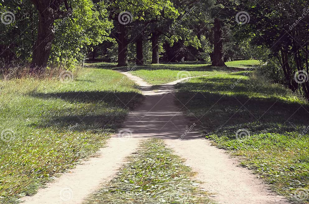 Two Walking Paths among the Grass Intersect in the Park on a Sunny ...