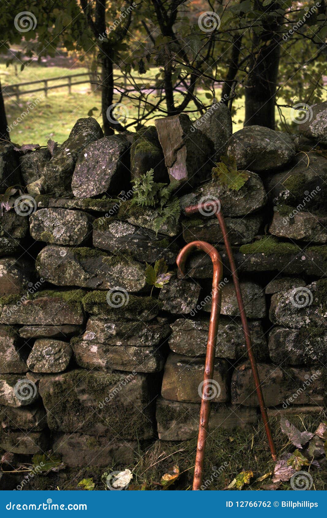 Two Walking Sticks stock photo. Image of friendship, autumn - 12766762