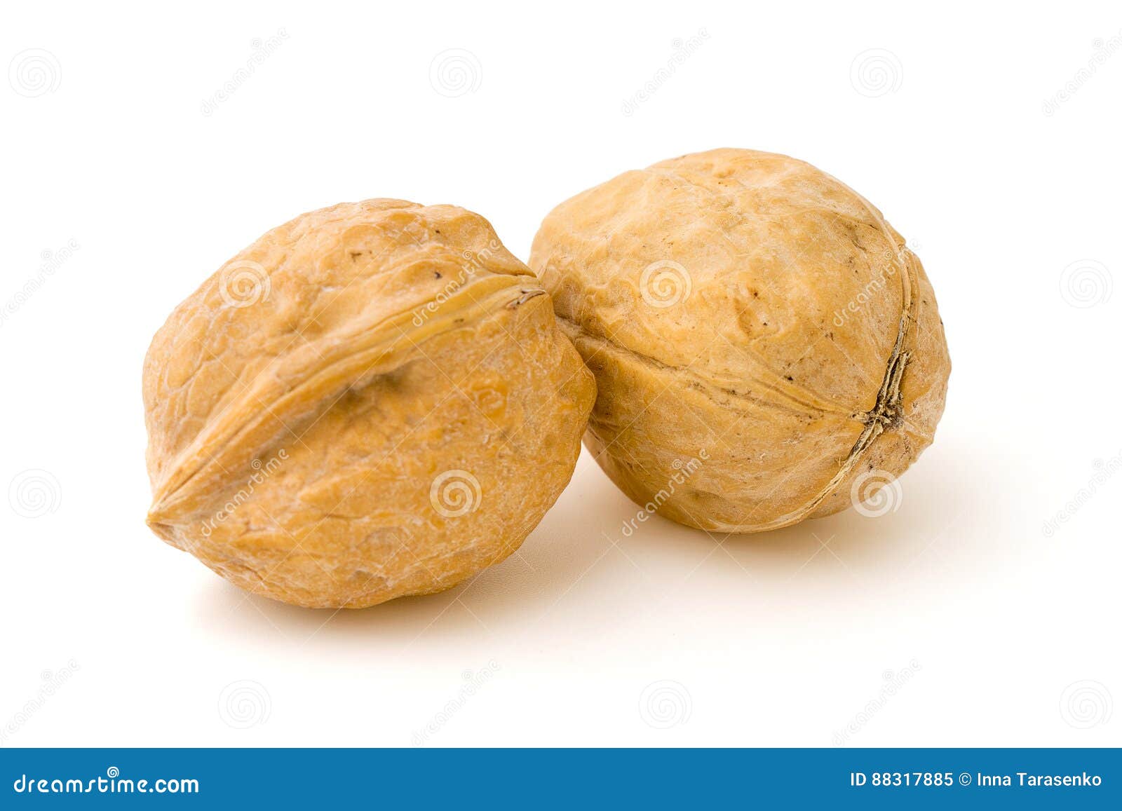 Two walnut isolated stock image. Image of object, healthy - 88317885