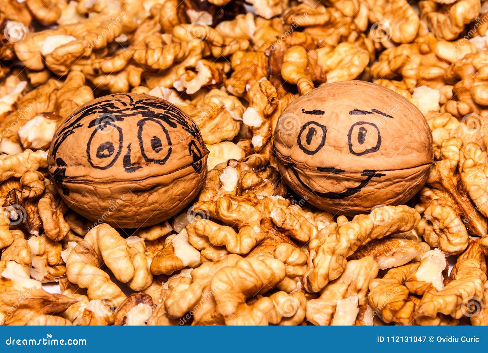 Two happy walnuts stock image. Image of seeds, vegetarian - 112131047