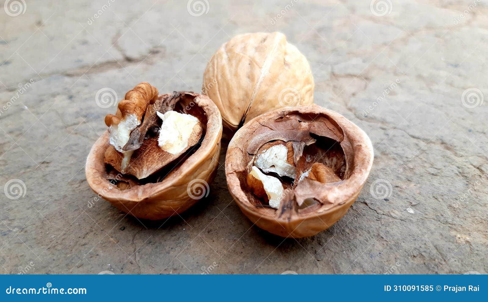 Two Walnuts Kernels are on the Ground Stock Image - Image of snacks ...