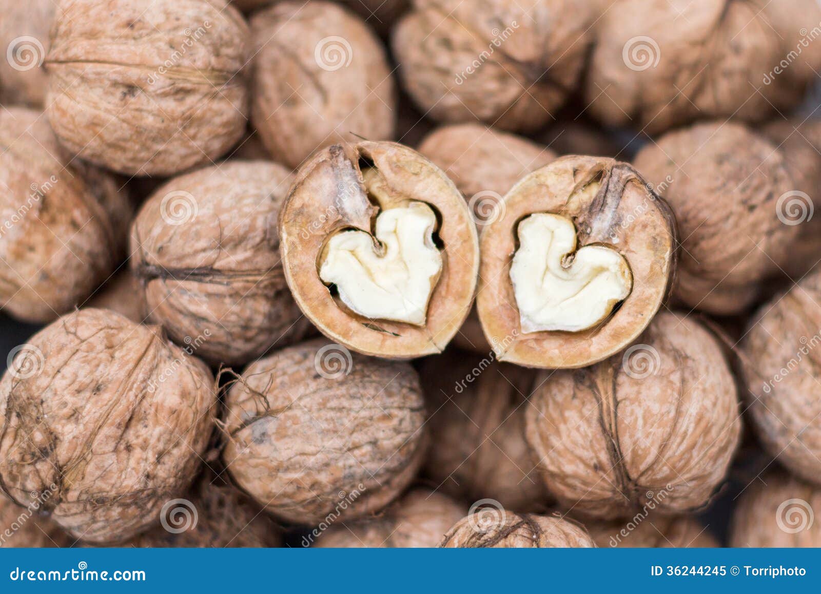 Two walnuts hearts stock image. Image of nutrition, ingredient - 36244245