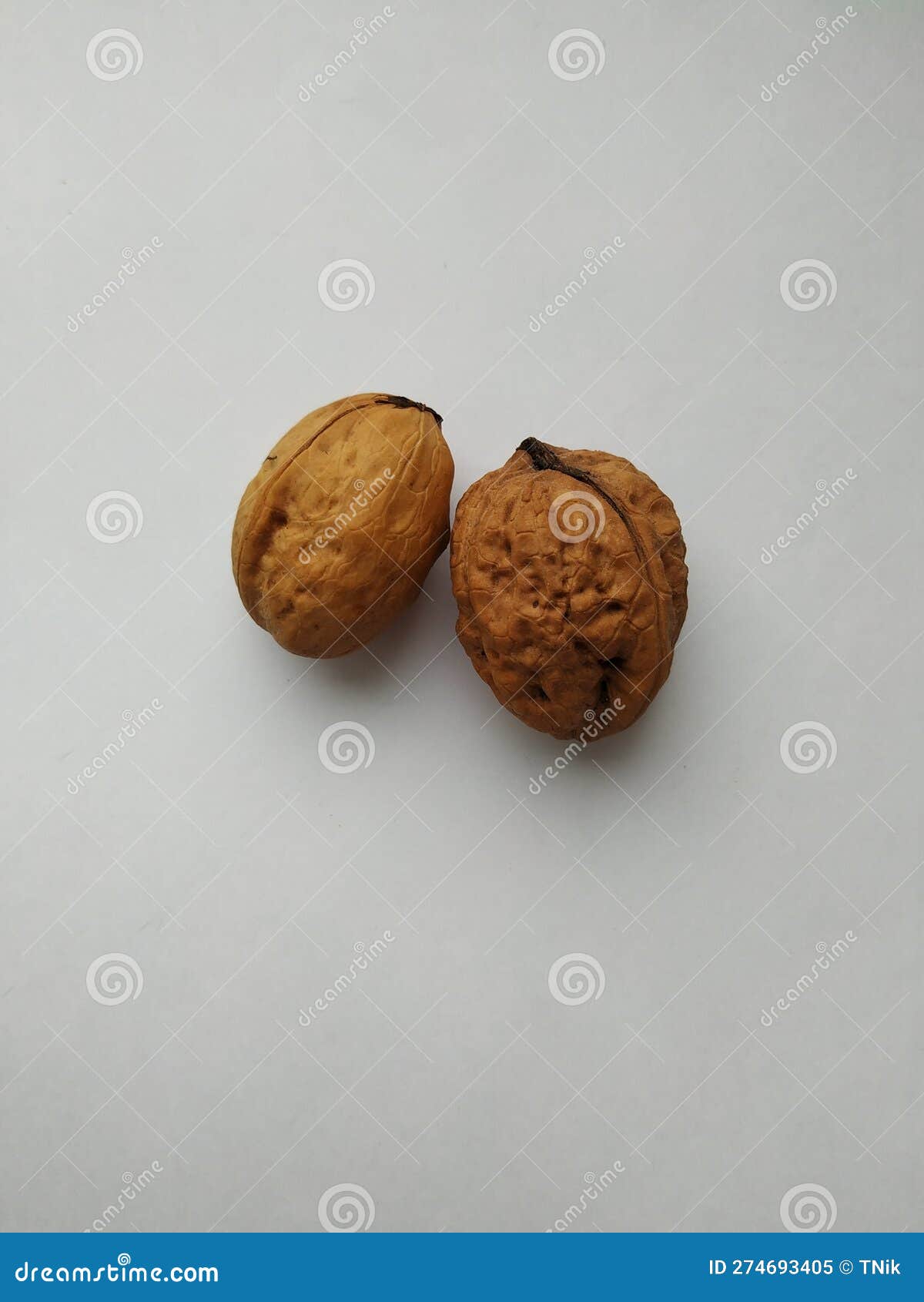 Two walnuts isolated stock image. Image of fresh, seed - 274693405