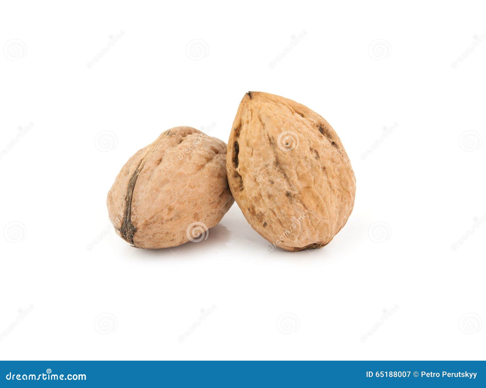 Two walnuts stock image. Image of cracked, small, isolated - 65188007