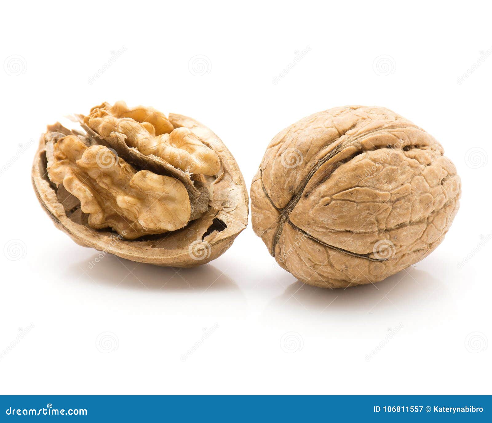 Fresh walnuts isolated stock image. Image of removed - 106811557
