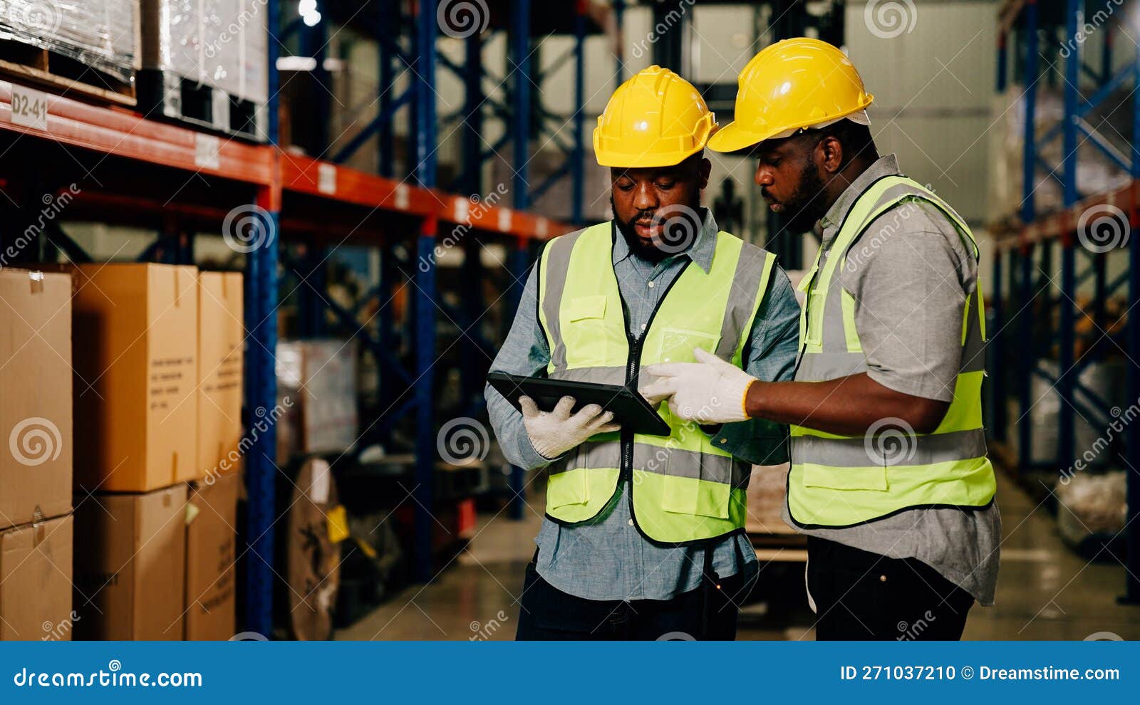 Two Warehouse Workers Checking and Controlling Boxes in Warehouse Stock ...