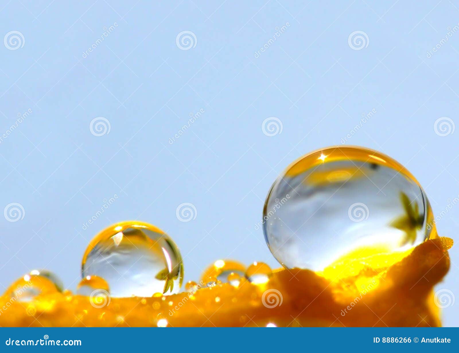 Two water drops stock photo. Image of shine, transparent - 8886266
