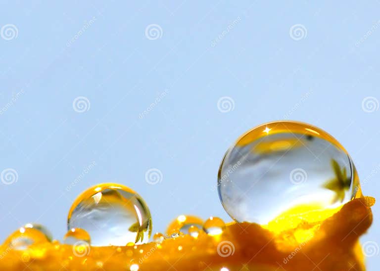 Two water drops stock photo. Image of shine, transparent - 8886266