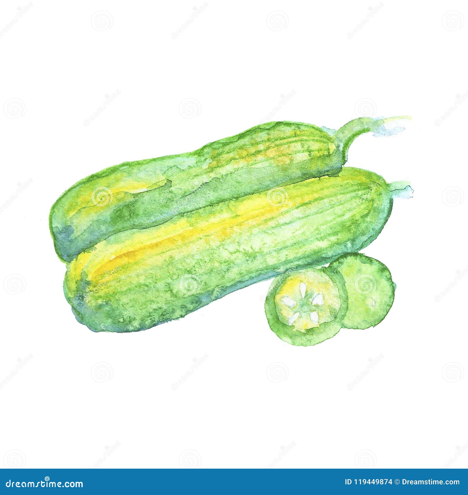 Two watercolor zucchini stock illustration. Illustration of sliced ...
