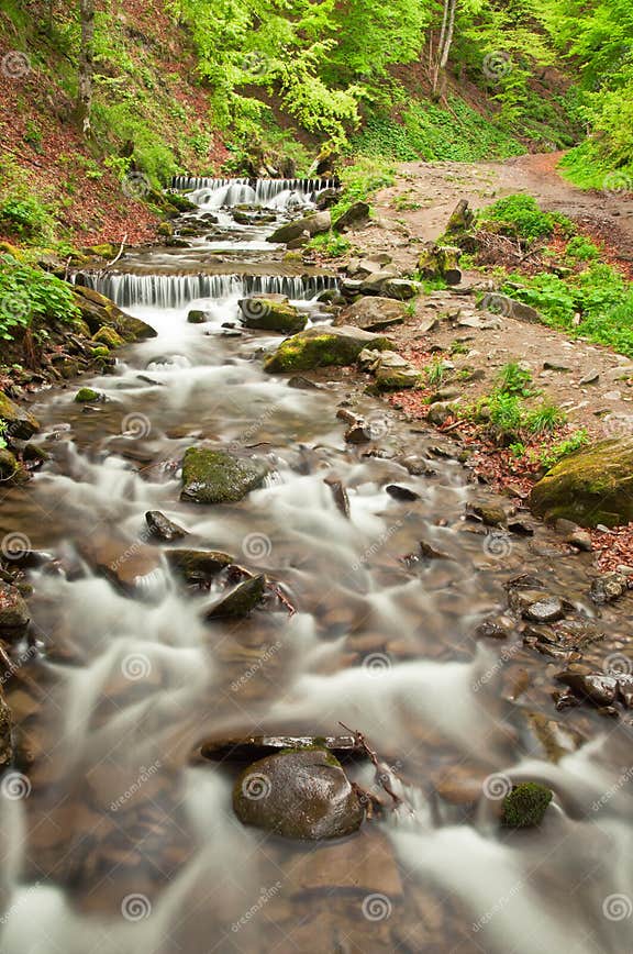 Two waterfalls stock photo. Image of grass, foliage, nature - 40929248