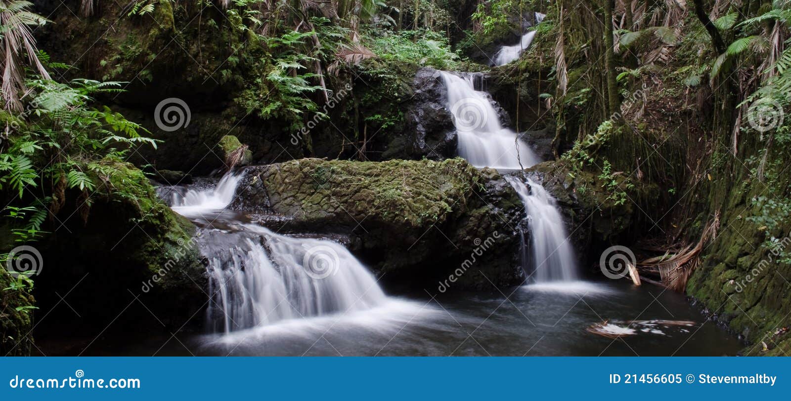 Two waterfalls in jungle stock image. Image of water - 21456605