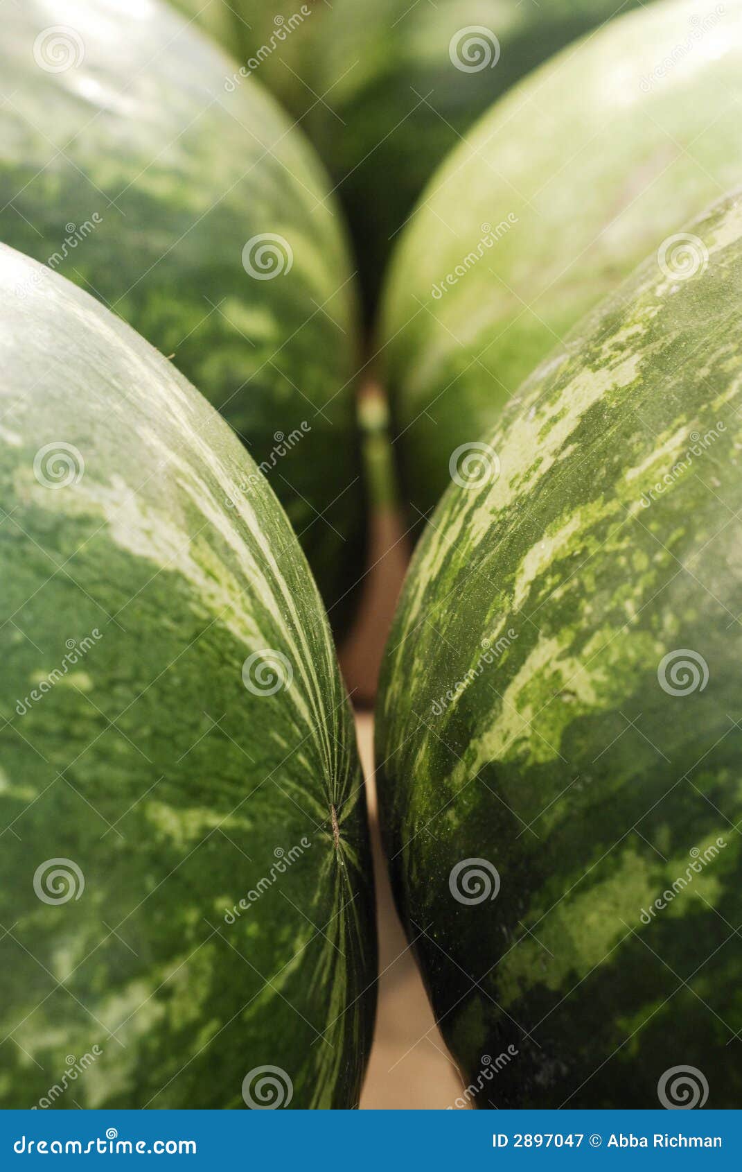 Two Watermelons Picture. Image: 2897047