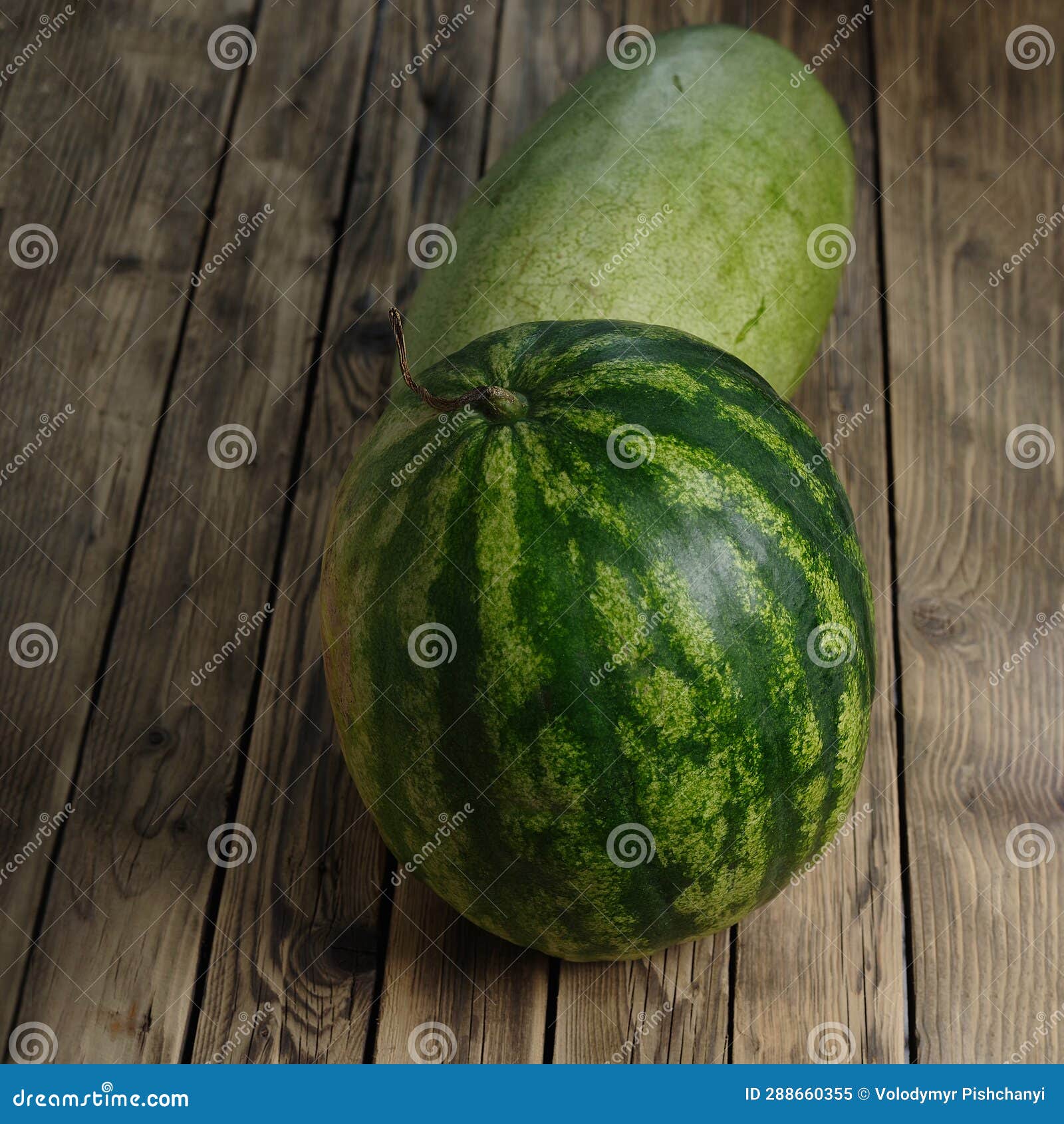Two Watermelons of Different Varieties Stock Image - Image of shape ...