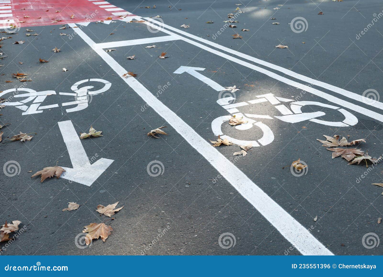 Two Way Bicycle Lane with White Signs on Asphalt Stock Photo - Image of ...