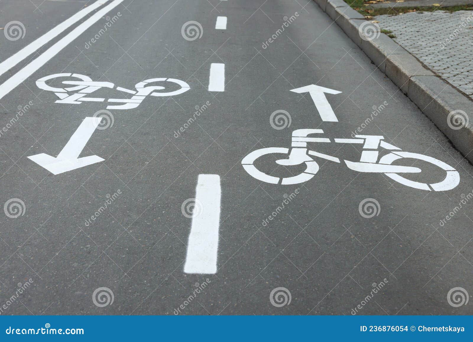 Two Way Bicycle Lane with White Signs on Asphalt Stock Photo - Image of ...