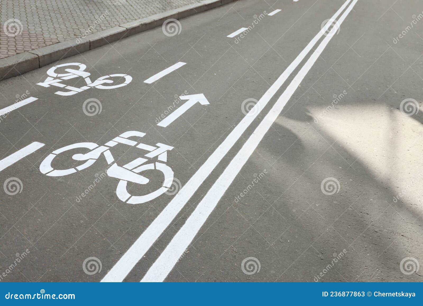 Two Way Bicycle Lane with White Signs on Asphalt Stock Image - Image of ...
