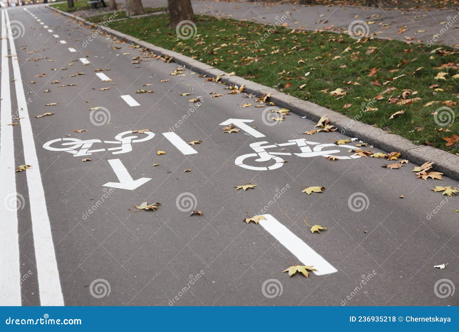 Two Way Bicycle Lane with White Signs on Asphalt Stock Photo - Image of ...