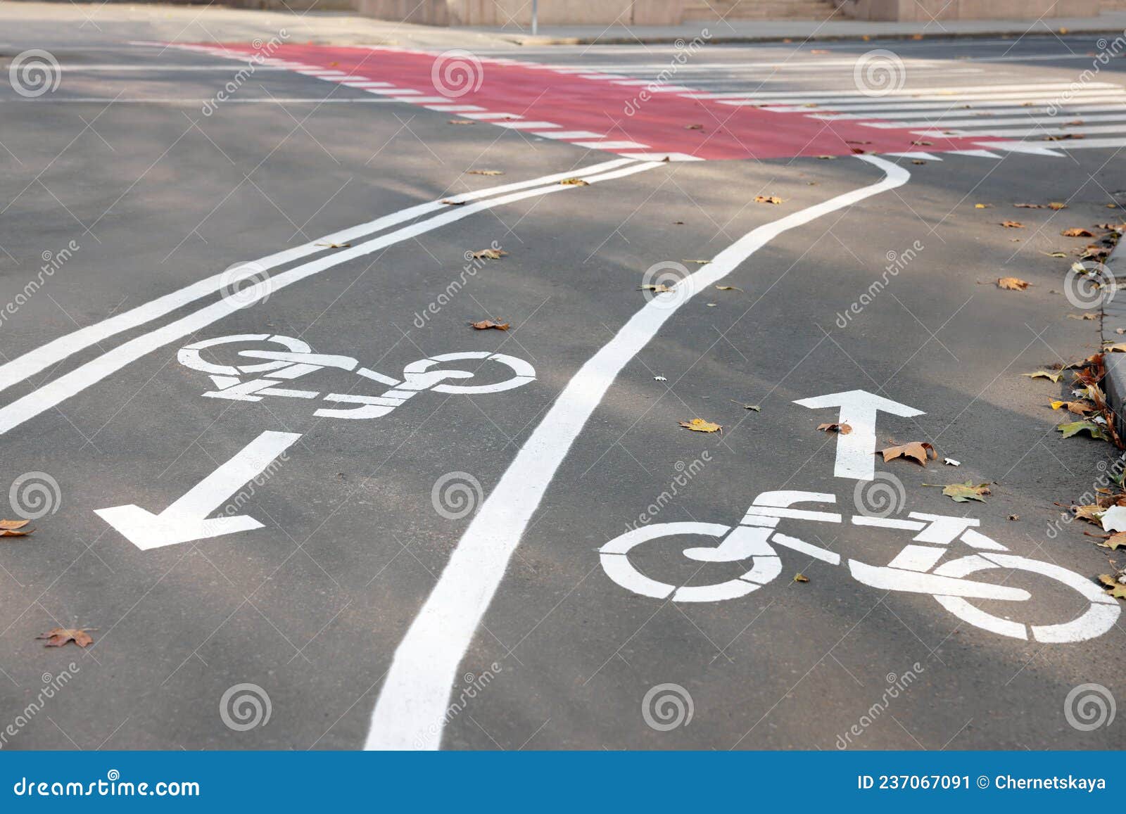 Two Way Bicycle Lane with White Signs on Asphalt Stock Image - Image of ...