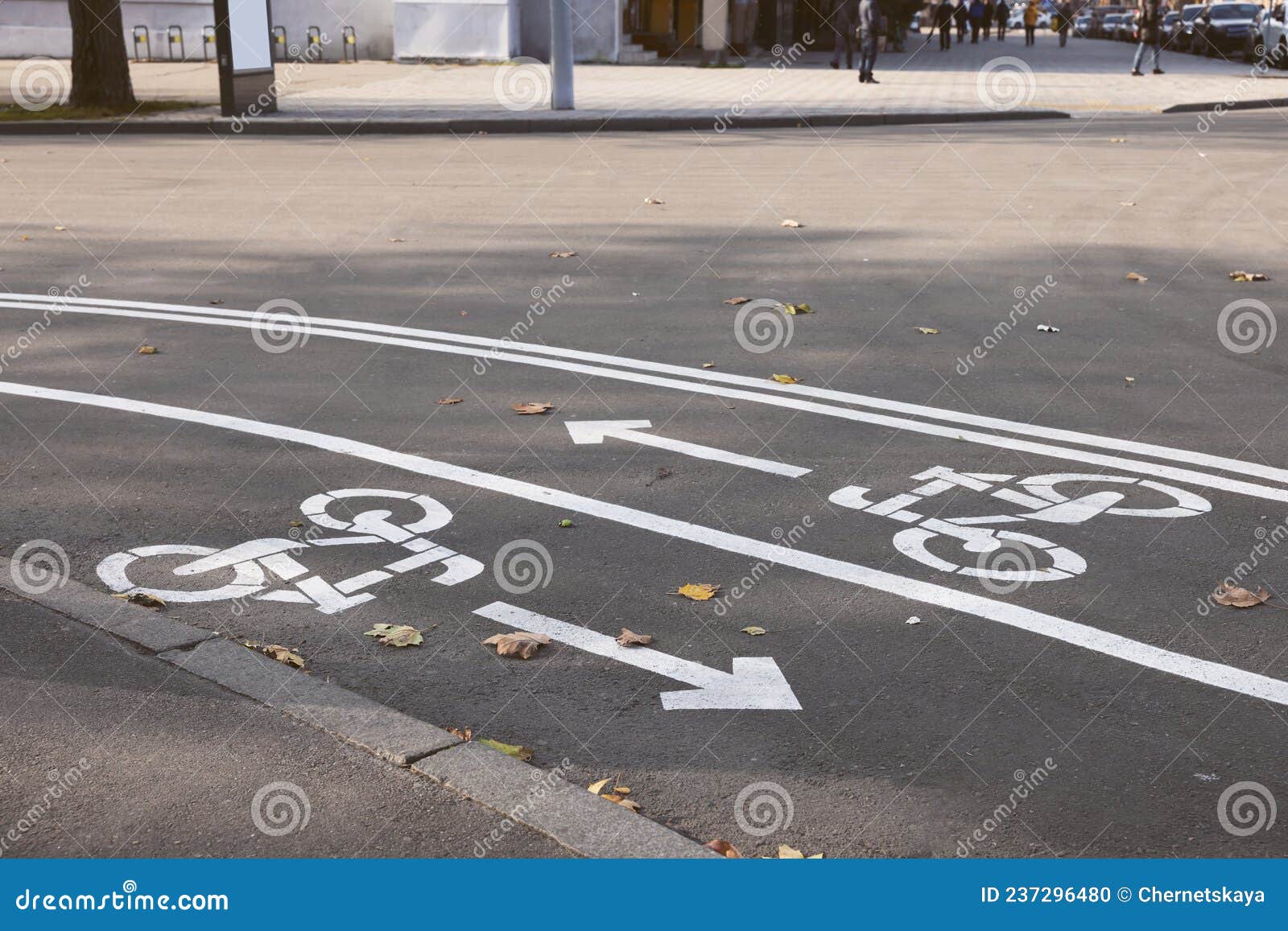 Two Way Bicycle Lane with White Signs on Asphalt Stock Photo - Image of ...