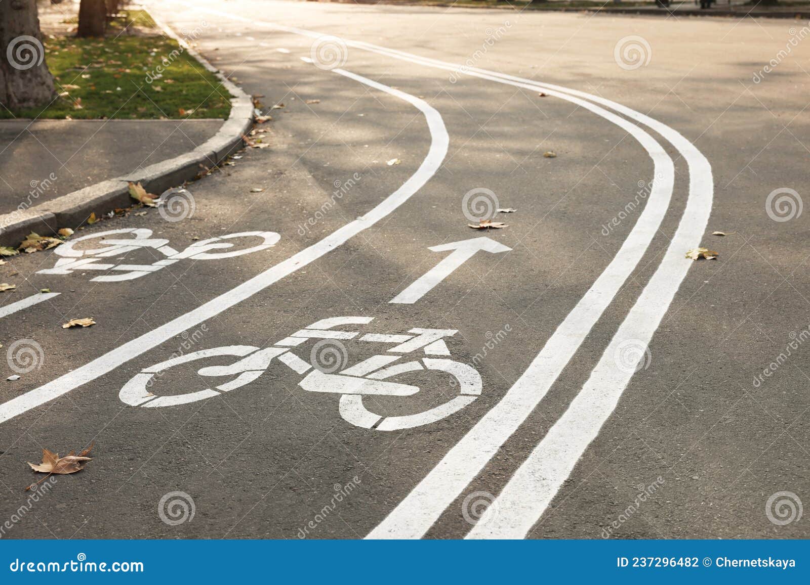 Two Way Bicycle Lane with White Signs on Asphalt Stock Photo - Image of ...