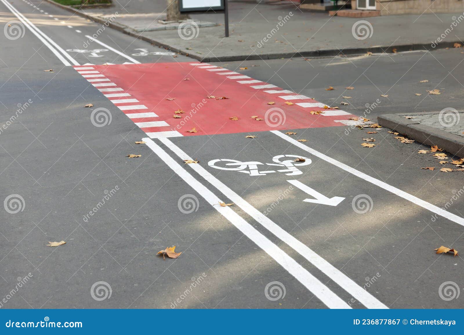 Two Way Bicycle Lane with White Signs Crossing Road Stock Image - Image ...