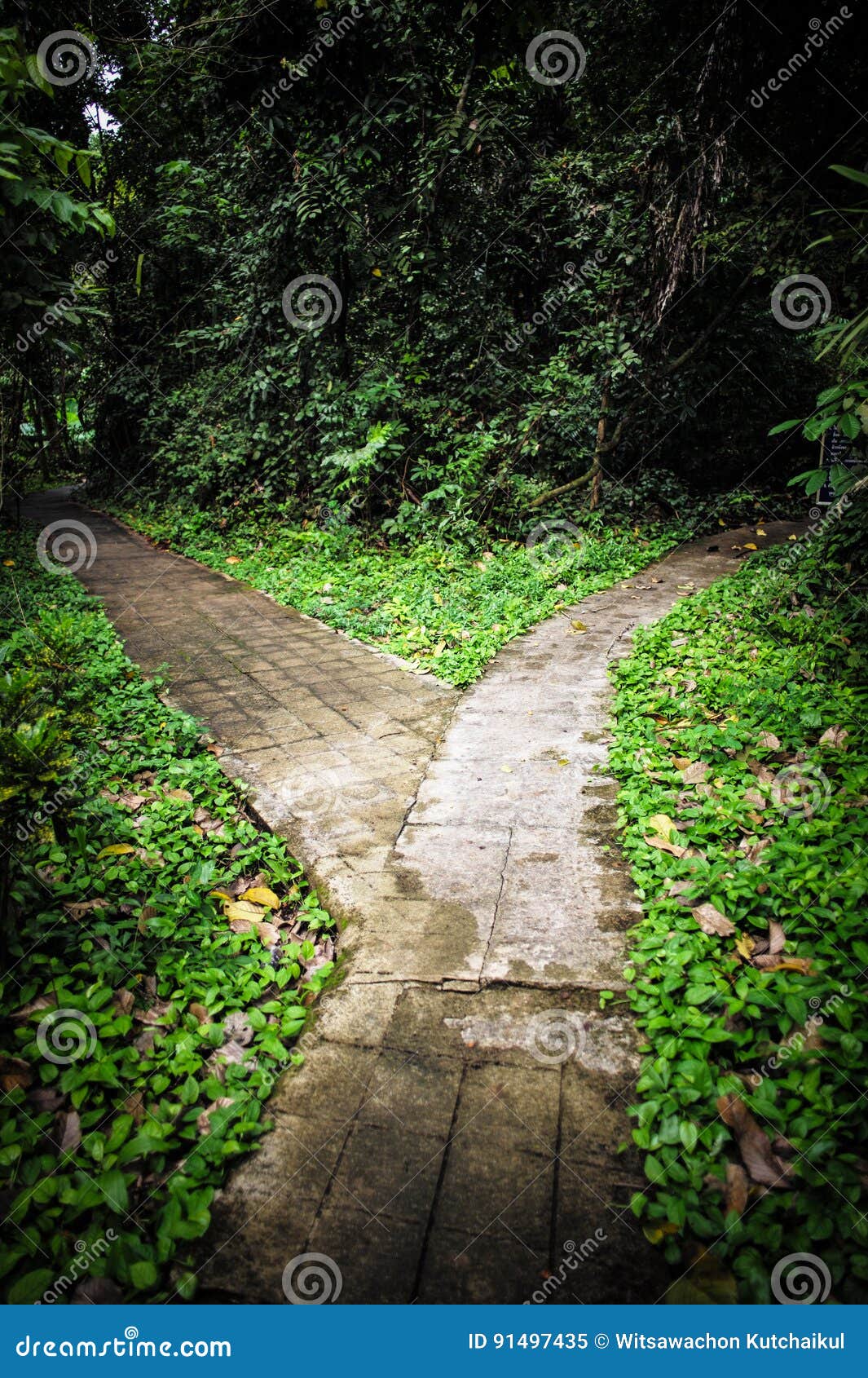 Two way choice stock image. Image of challenge, street - 91497435