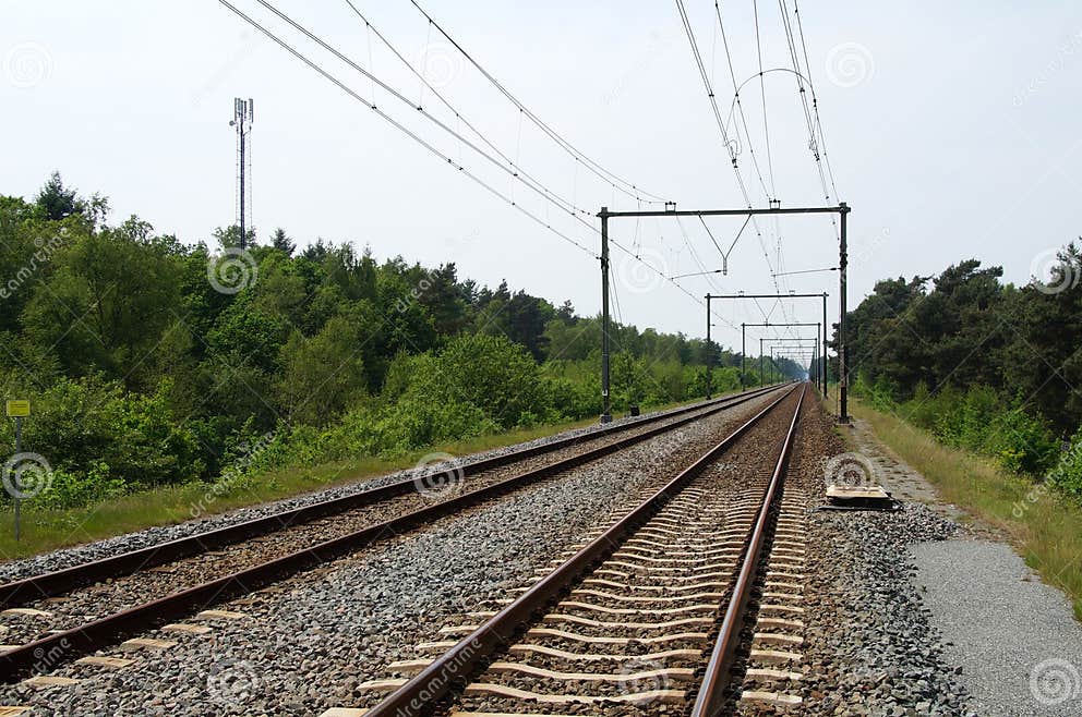 Two way railroad track stock photo. Image of tree, power - 93366730