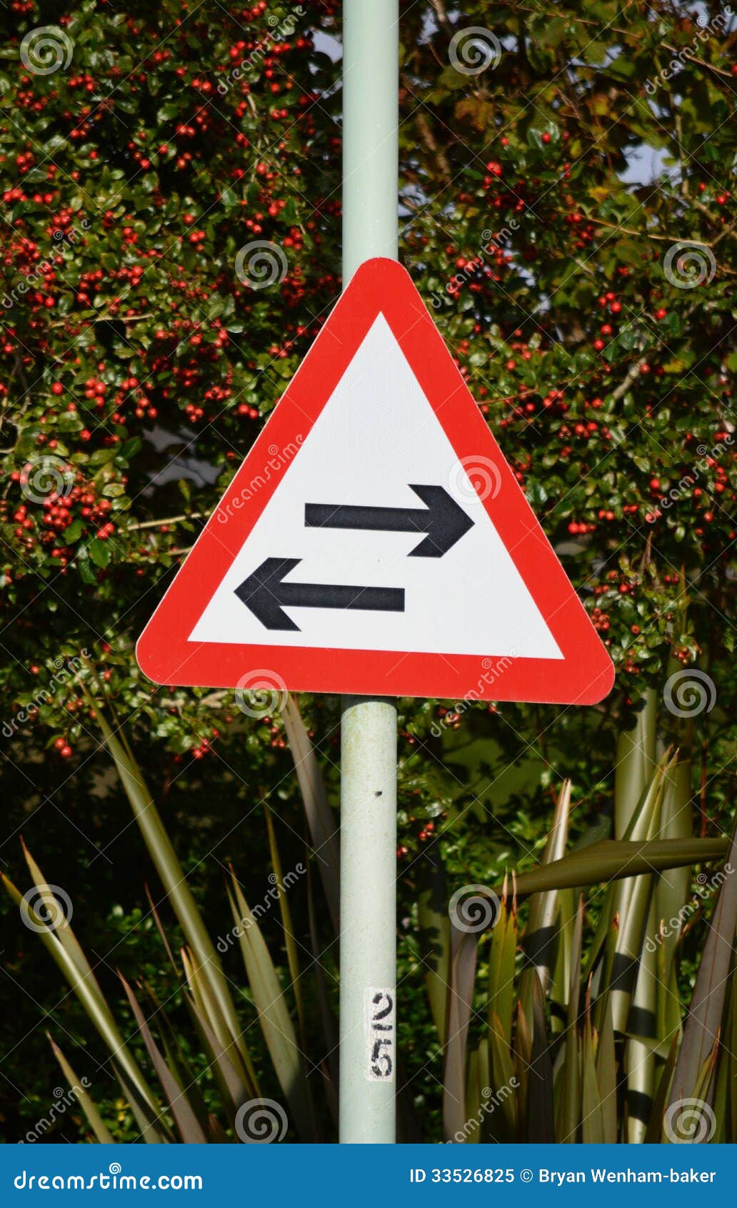 Two-Way Road Traffic Sign stock image. Image of triangle - 33526825
