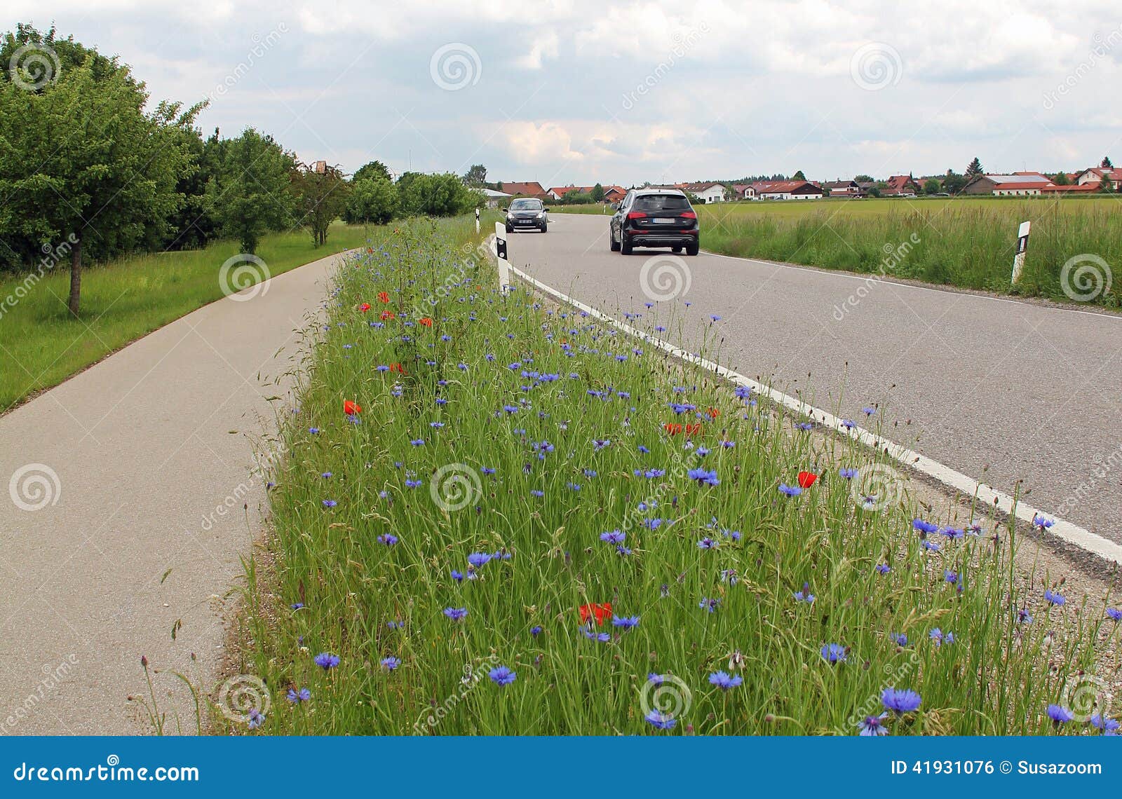 Two Way Traffic, Country Road, Kerb with Flowers Stock Photo - Image of ...