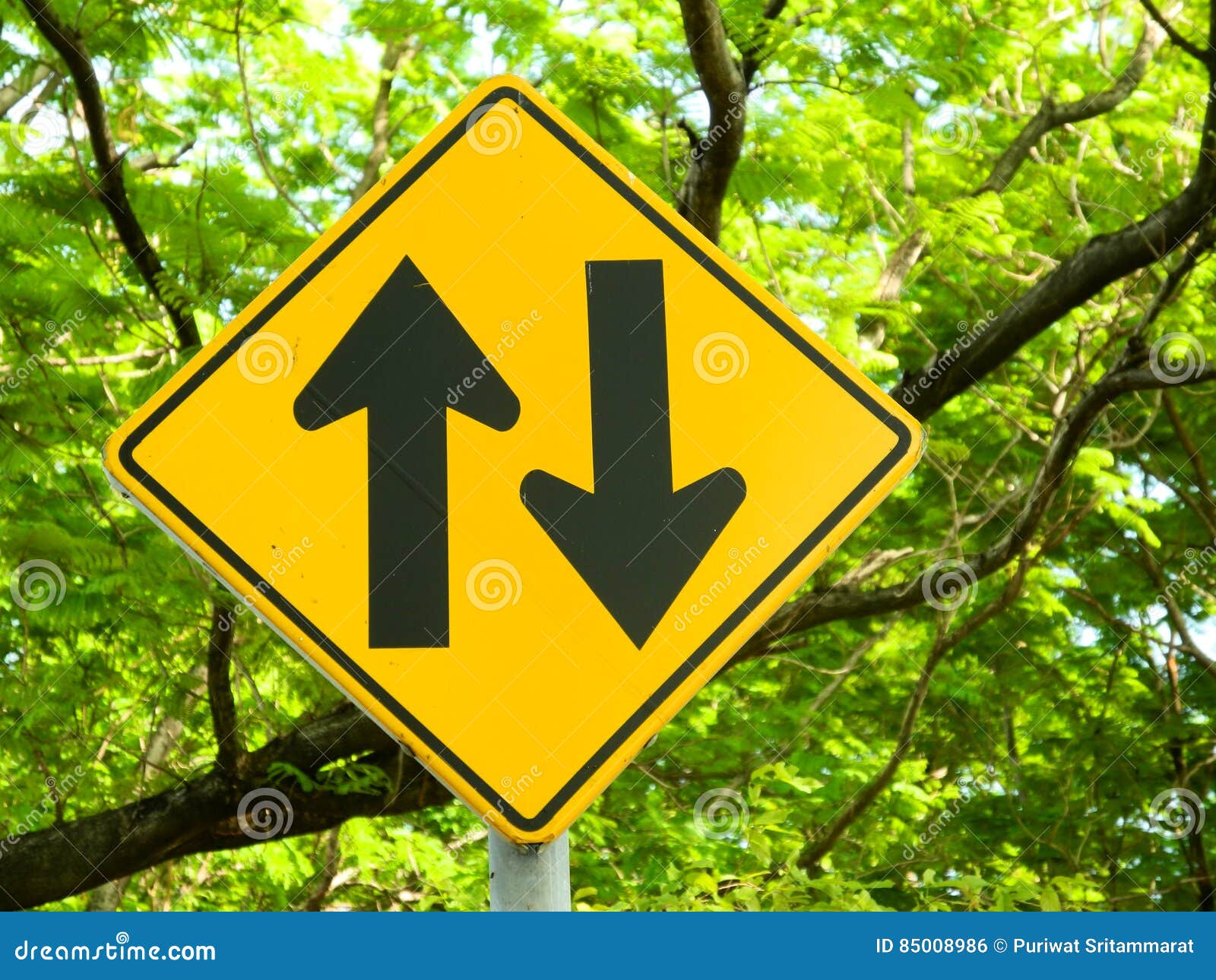 Two way Traffic sign stock photo. Image of sign, woody - 85008986
