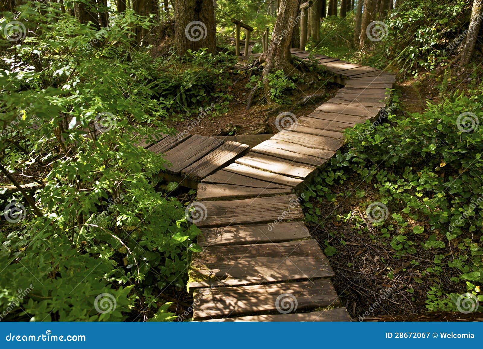 Two Ways Cross Trail stock image. Image of destination - 28672067