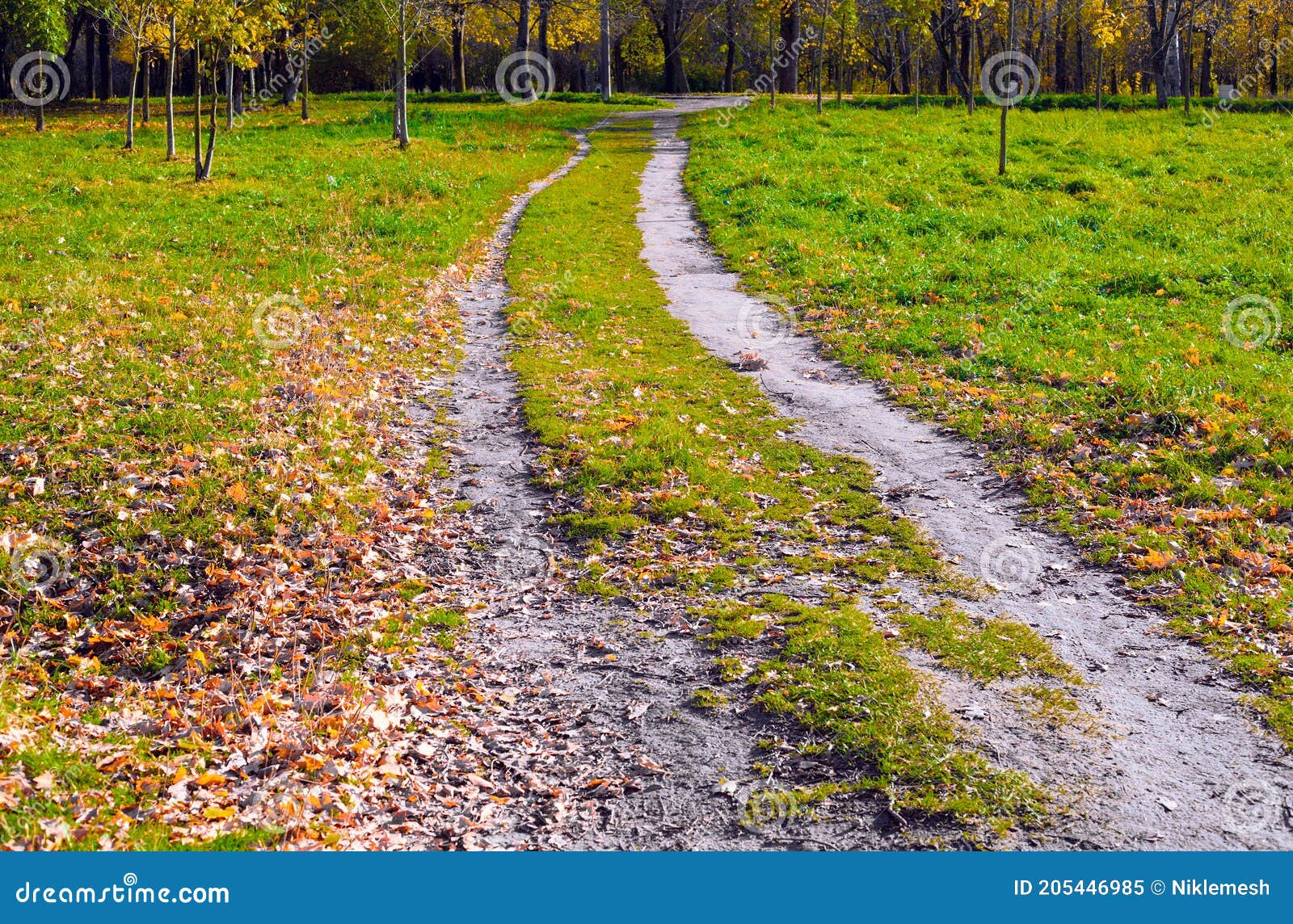 Two Ways among the Grass are Parallel and Lead in the Same Direction ...