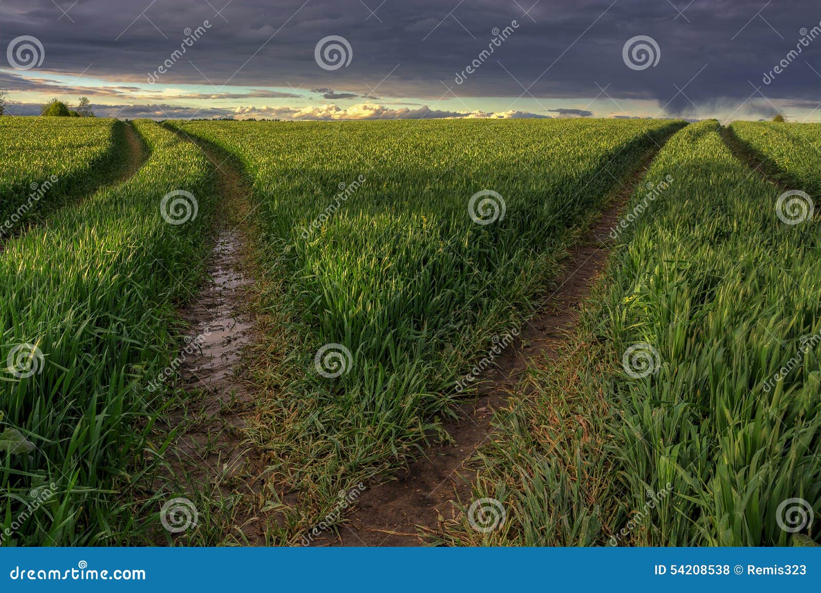 Two ways stock photo. Image of rutting, field, lithuania - 54208538