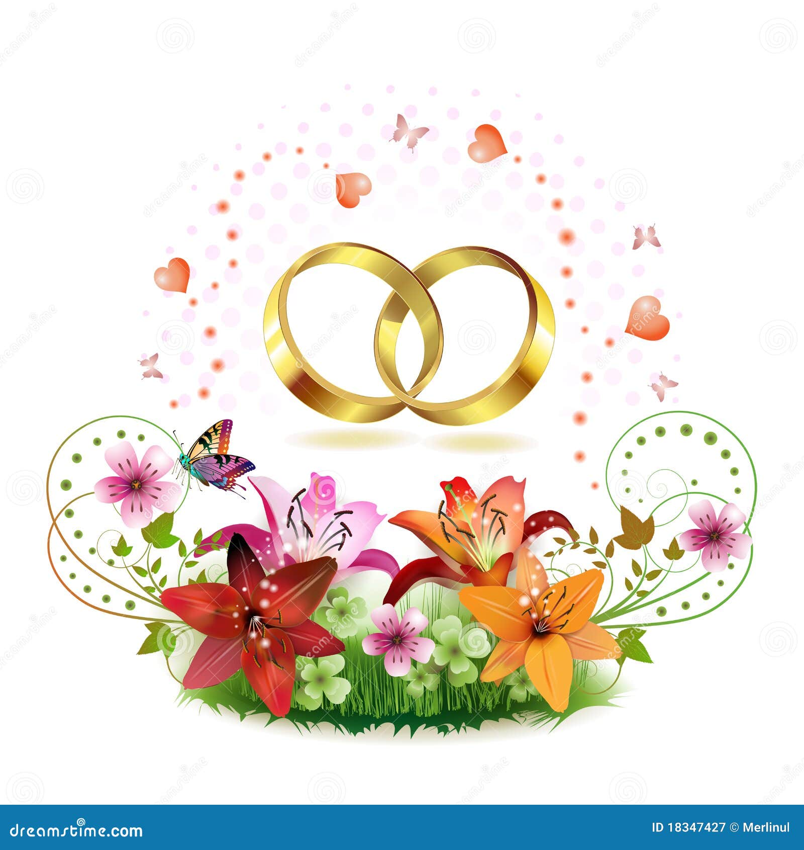 Two wedding ring stock vector. Illustration of marriage - 18347427