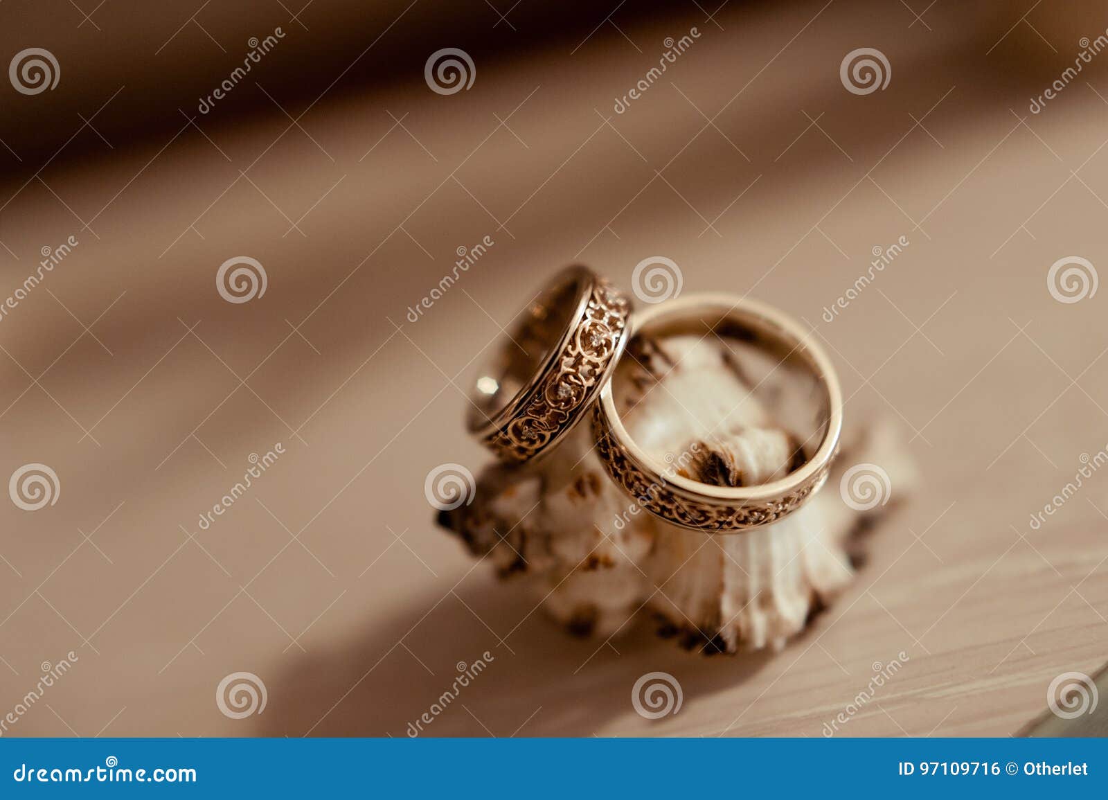 Two wedding rings stock photo. Image of beauty, gift - 97109716
