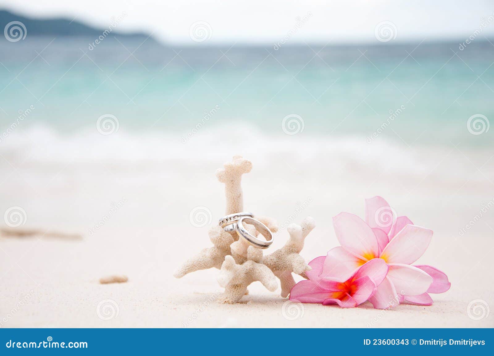Two Wedding Rings on Coral in Front of the Seaside Stock Image - Image ...