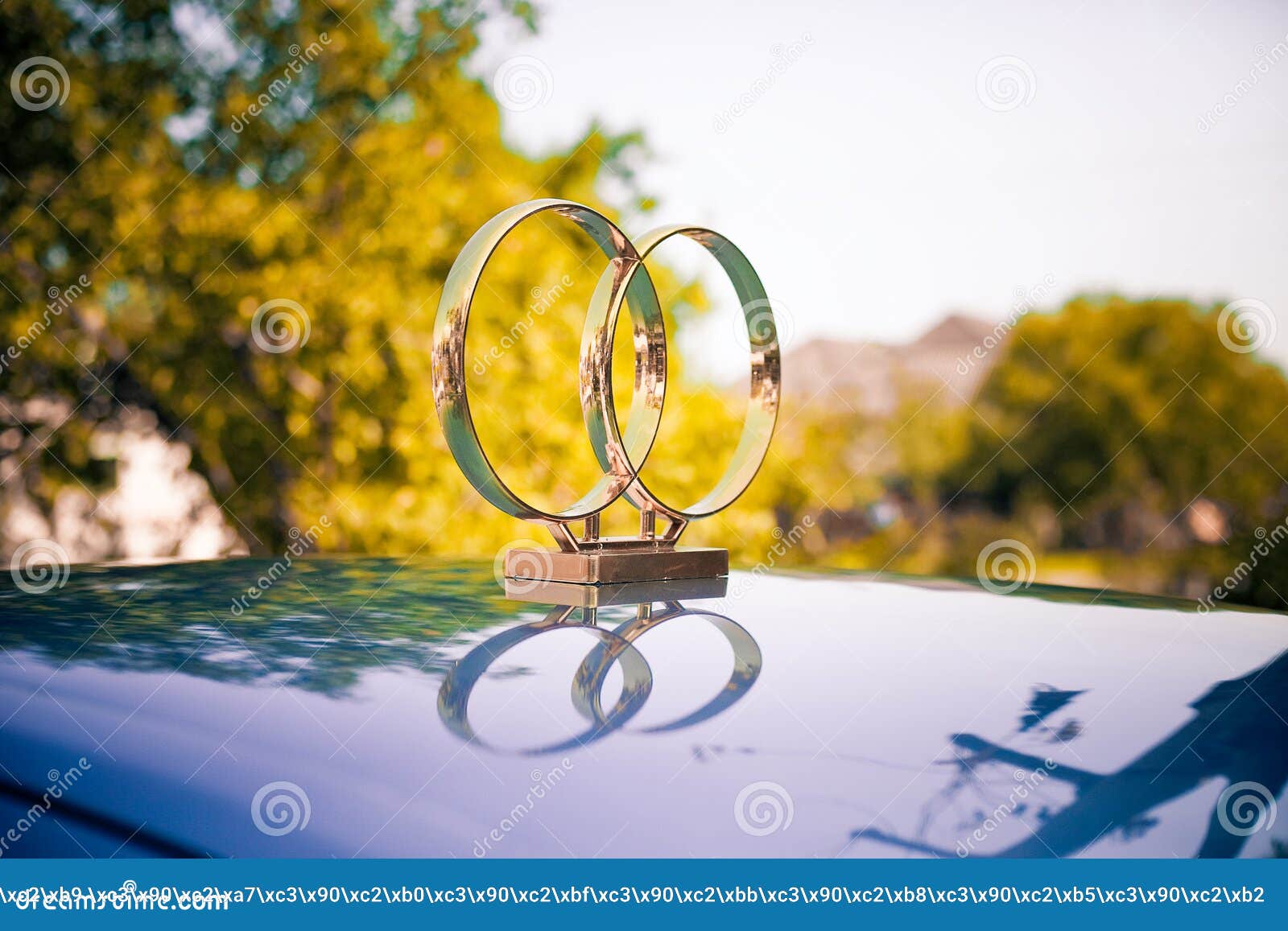 Two Wedding Rings Decorations for the Car Stock Image - Image of ...